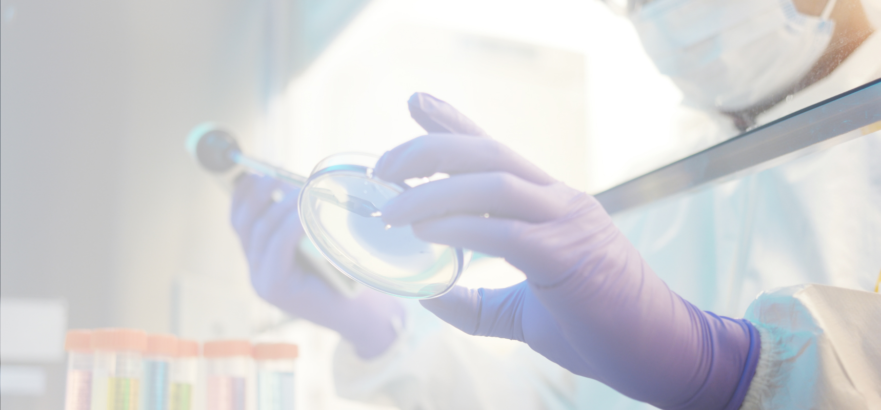 About Us - Benchmark Products