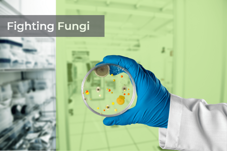 Fighting Fungi: Preventing Mold Contamination in Sterile Manufacturing ...